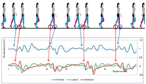 Walk This Way - Lesson - www.teachengineering.org