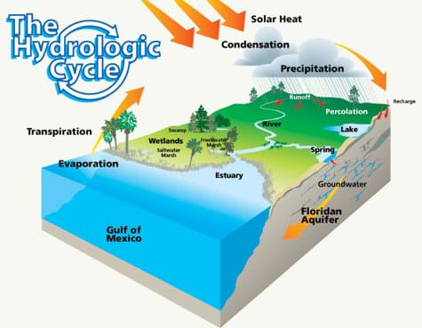 Natural and Urban "Stormwater" Water Cycles - Lesson - www ...