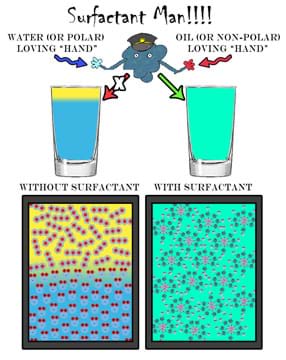 Surfactants: Helping Molecules Get Along - Lesson - www ...