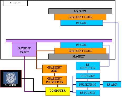 Magnetic Resonance Imaging - Lesson - www.teachengineering.org
